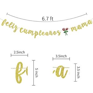 Dill-Dall Feliz Cumpleaños Mama Banner, Fiesta Theme Party Decorations, Mom Birthday Party Banner, Happy Birthday Banner for Women (Gold)