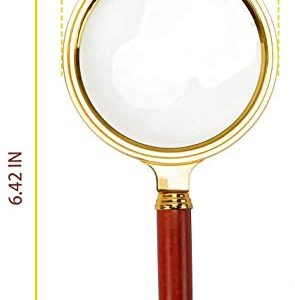 BASUNE 10X Handheld Magnifier, Reading Magnifier Loupe Glasses 10X with Rosewood Handle for Book and Newspaper Reading, Insect and Hobby Observation, Classroom Science (Clear, Plastic Frame)