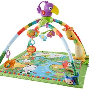 Fisher-Price Tiny Take-Alongs Gift Set, 6 Activity Toys For Baby To Rattle and Teethe