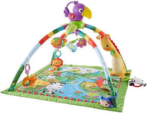 Fisher-Price Tiny Take-Alongs Gift Set, 6 Activity Toys For Baby To Rattle and Teethe