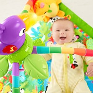 Fisher-Price Tiny Take-Alongs Gift Set, 6 Activity Toys For Baby To Rattle and Teethe