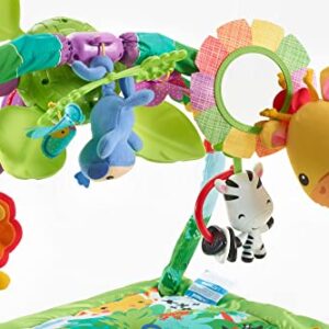 Fisher-Price Tiny Take-Alongs Gift Set, 6 Activity Toys For Baby To Rattle and Teethe