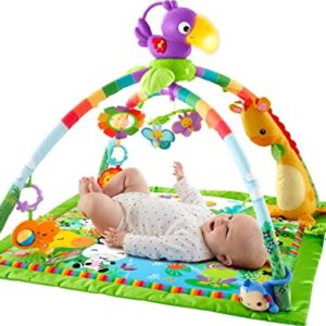 Fisher-Price Tiny Take-Alongs Gift Set, 6 Activity Toys For Baby To Rattle and Teethe