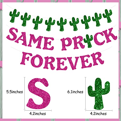 Mexican Bachelorette Party Decorations | Rose Red Glitter Same Prick Forever Banner Cactus Garland | Mexican Fiesta | Funny Bridal Shower Decorations | Hen Party Decoration