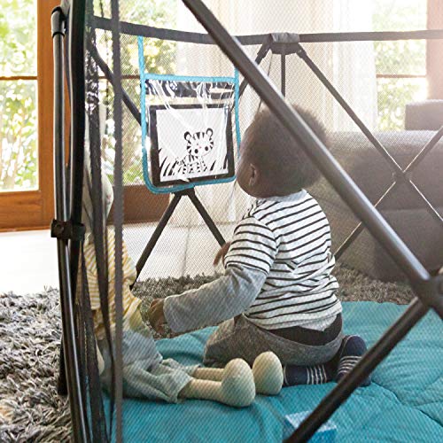 Evenflo Play-Away Portable Playard (Cedar Grove)