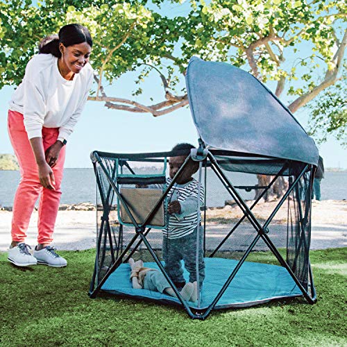 Evenflo Play-Away Portable Playard (Cedar Grove)