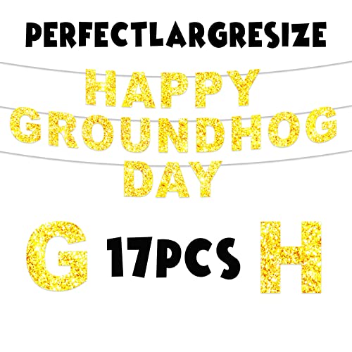 Happy Groundhog Day Banner Cute Animals Glitter Golden Theme Decor Decorations for Season Forecast 1st Birthday Party Spring February 2nd Holidays Festival Groundhog Day Supplies Favors Background