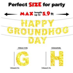 Happy Groundhog Day Banner Cute Animals Glitter Golden Theme Decor Decorations for Season Forecast 1st Birthday Party Spring February 2nd Holidays Festival Groundhog Day Supplies Favors Background