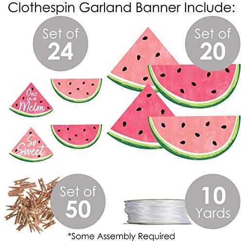 Big Dot of Happiness Sweet Watermelon - Fruit Party DIY Decorations - Clothespin Garland Banner - 44 Pieces