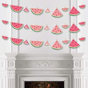 Big Dot of Happiness Sweet Watermelon - Fruit Party DIY Decorations - Clothespin Garland Banner - 44 Pieces