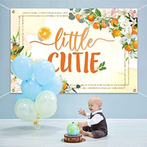 HAMIGAR 6x4ft Little Cutie Banner Backdrop - Fall Baby Shower Decorations Party Supplies for Boys Girls - Orange