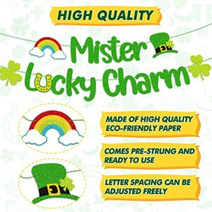 Mister Lucky Charm Banner St. Patrick Day Decoration for Boys Glitter Green Three Leaf Clover Shamrock Garland for Irish Day Party Decor Lucky Themed Men Boys Birthday Baby Shower Party Anniversary Celebration Supplies