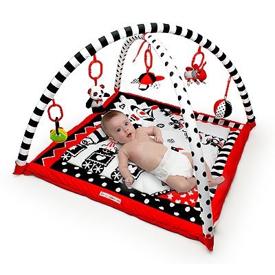 Black, White & Red Activity 3D Playmat & Gym