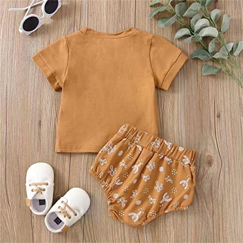 vchoohce Baby Boy Summer Clothes Short Sleeve Letter Print T-shirt Top Shorts Set 6 12 18 24 Months Infant Boy Outfit (Cactus Howdy-Brown,0-6 Months)