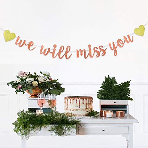 Rose Gold Glitter We Will Miss You Banner--Retirement Party Decorations Sign-Going Away Party Decor-Farewell Party Decorations-Office Work Party Decorations