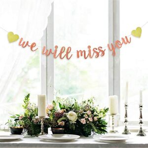 Rose Gold Glitter We Will Miss You Banner--Retirement Party Decorations Sign-Going Away Party Decor-Farewell Party Decorations-Office Work Party Decorations