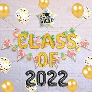 Geloar Class of 2022 Balloons Banner, Class of 2022 Balloons Congratulations Grad Sign Graduate Party Supplies Decoration High School Graduation College Nurse Law School Set of 24 PCS