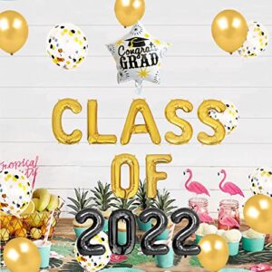 Geloar Class of 2022 Balloons Banner, Class of 2022 Balloons Congratulations Grad Sign Graduate Party Supplies Decoration High School Graduation College Nurse Law School Set of 24 PCS