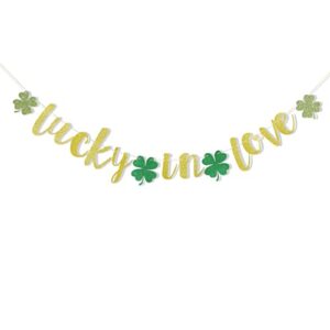 lucky in love banner – st patricks day decoration,st patricks day banner,st patricks day wedding decor, st patricks day bridal shower,lucky in love st patricks bachelorette party banner