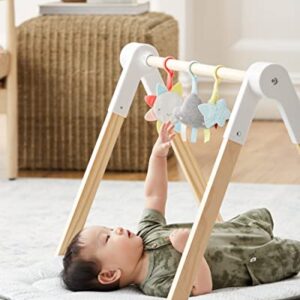 Skip Hop Wooden Baby Gym, Silver Lining Cloud Activity Gym