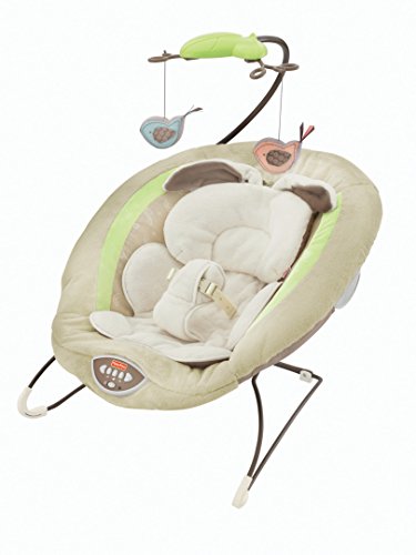 Fisher-Price My Little Snugabunny Deluxe Bouncer