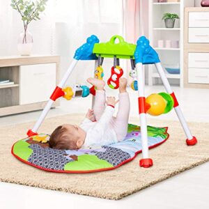 SMART STEPS by baby trend Jammin’ Gym with Play Mat