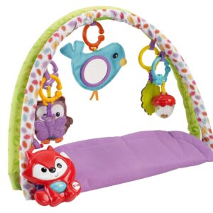 Fisher-Price 3-in-1 Musical Activity Gym, Woodland