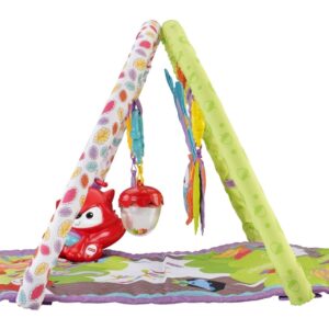 Fisher-Price 3-in-1 Musical Activity Gym, Woodland