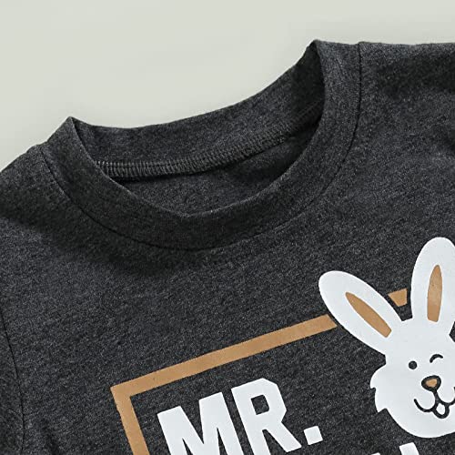 Adobabirl Easter Baby Boy Outfit Mr Steal Your Eggs Bunny Tshirt Solid Shorts Set Toddler Boy Easter Outfit Summer Clothes (D Easter Bunny Outfit Grey,3-4T)