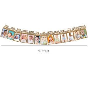 1 to 12 months Baby Photo Banner, Celebration 1st Birthday Hanging Banner for Home Party Photo Booth Props Decoration