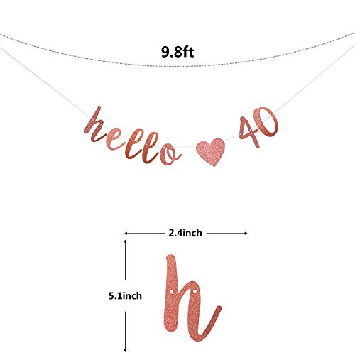 Glitter Hello 40 Birthday Banner - Great for 40th Birthday Wedding Party Decorations - Funny Forty Birthday Sign Party Decor