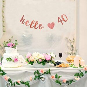 Glitter Hello 40 Birthday Banner - Great for 40th Birthday Wedding Party Decorations - Funny Forty Birthday Sign Party Decor