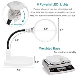 8X Lighted Desktop Magnifier Heavy-Duty Stand Large 5.7 Inch Lens Illuminated Tabletop Magnifying Glass Lamp with 6 LED Lights Table Lamp for Reading Sewing Crafts Soldering Workbench Jewelry Design