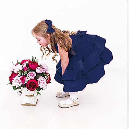 WZSYGDTC 3M-6T Flower Girl Ruffle Lace Tulle Dresses Thanksgiving Day Dress Christmas Tutu Gown Toddler Formal Dress (Navy, 3 Months-6 Months)