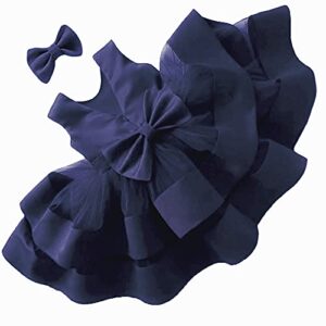 WZSYGDTC 3M-6T Flower Girl Ruffle Lace Tulle Dresses Thanksgiving Day Dress Christmas Tutu Gown Toddler Formal Dress (Navy, 3 Months-6 Months)