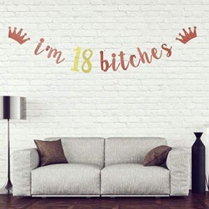 I'm 18 Bitches Banner, 18th Birthday Party Decor, Funny Eighteen Years Old Birthday Banner, Girl's 18th Birthday Party Decorations (Rose Gold)