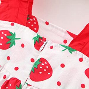 Gifts for One Year Old Girl Print Baby Clothes Princess Outfit Hat Girls Dress Suspenders Strawberry (Red, 18-24 Months)