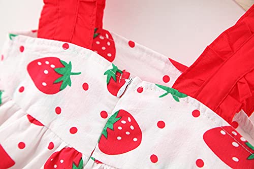 Gifts for One Year Old Girl Print Baby Clothes Princess Outfit Hat Girls Dress Suspenders Strawberry (Red, 18-24 Months)