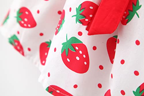 Gifts for One Year Old Girl Print Baby Clothes Princess Outfit Hat Girls Dress Suspenders Strawberry (Red, 18-24 Months)