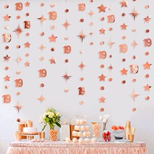 Rose Gold 19th Birthday Decorations Number 19 Circle Dot Star Garland Streamer Bunting Banner Backdrop for Girls Nineteen Year Old Birthday 19 and Fabulous Happy 19th Anniversary Party Supplies