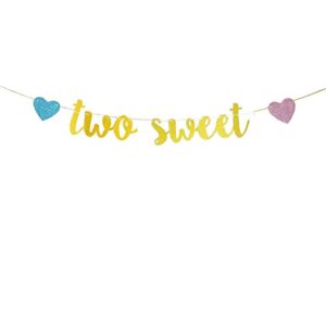 two sweet banner,baby’s 2nd birthday party decorations, 2nd wedding anniversary wall decor.