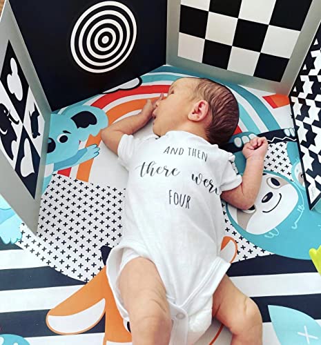 Samuel Sensory Baby Sensory & Development Fold Out Boards, Black and White, Simple Geometric Shapes, Made from 700GSM Card, Stands Independently.