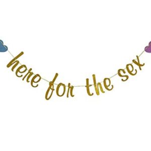 Here for the Sex Banner, Glitter Gender Reveal Bunting, He or She Decors, Boy or Girl Baby Shower Party Decorations, Gold