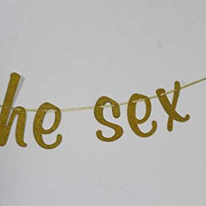 Here for the Sex Banner, Glitter Gender Reveal Bunting, He or She Decors, Boy or Girl Baby Shower Party Decorations, Gold