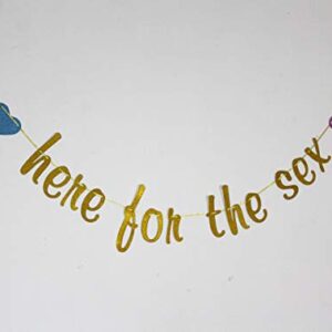 Here for the Sex Banner, Glitter Gender Reveal Bunting, He or She Decors, Boy or Girl Baby Shower Party Decorations, Gold