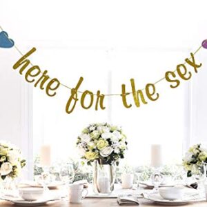 Here for the Sex Banner, Glitter Gender Reveal Bunting, He or She Decors, Boy or Girl Baby Shower Party Decorations, Gold