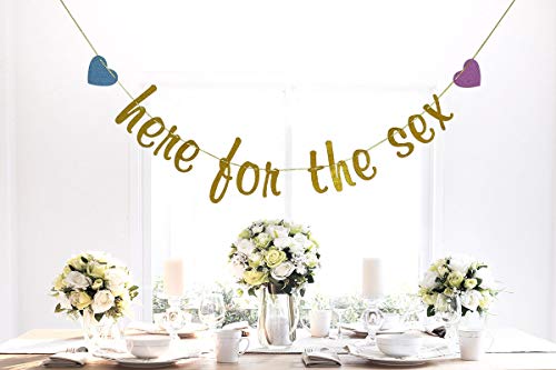 Here for the Sex Banner, Glitter Gender Reveal Bunting, He or She Decors, Boy or Girl Baby Shower Party Decorations, Gold