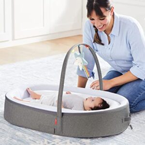 Skip Hop Baby Nest, Playful Retreat, Grey Melange