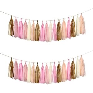 guzon 25 pcs diy tassel garland tissue paper tassel banner pompom for wedding, bachelorette, baby shower christmas, birthday home decorations