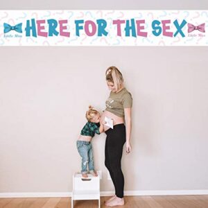 Here for The Sex Large Banner, Baby Shower Lawn Sign, Gender Reveal Party Porch Decoration, Indoor Outdoor Backdrop 8.9 x 1.6 Feet